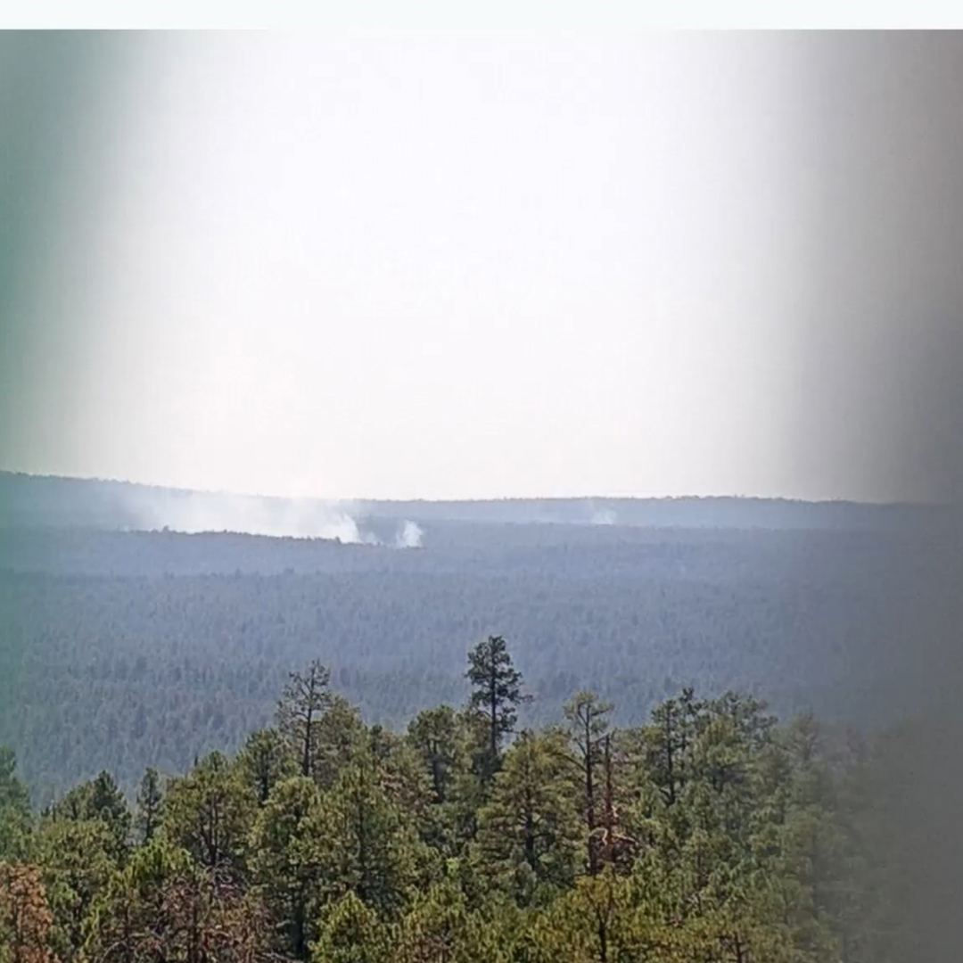 Wildfire burns 30 acres in Coconino National Forest | 12news.com