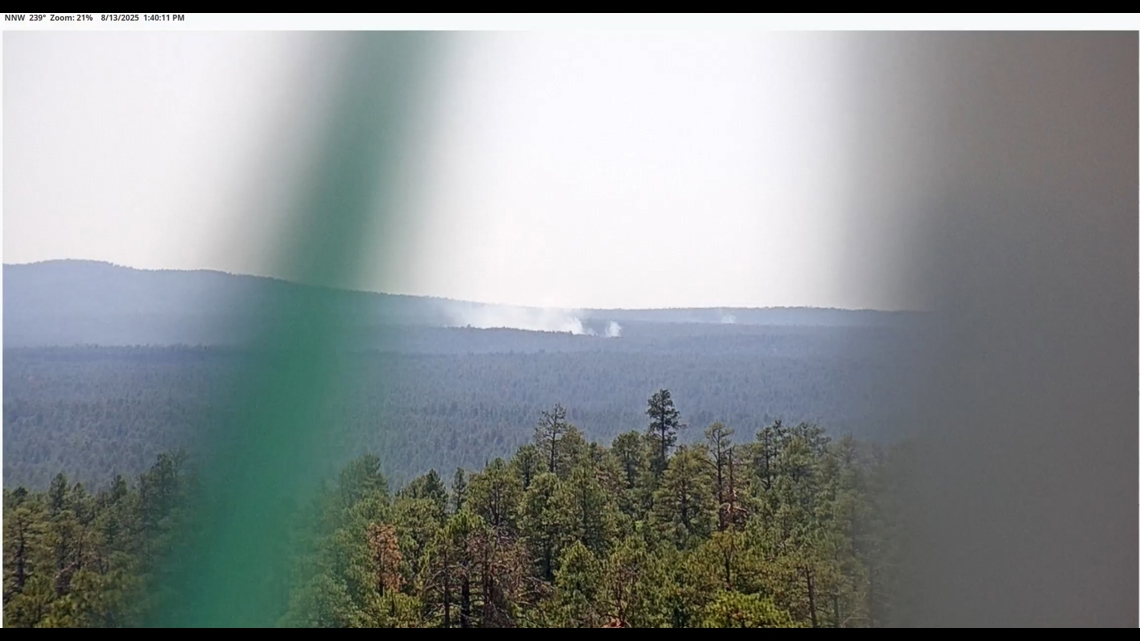 Wildfire burns 30 acres in Coconino National Forest | 12news.com