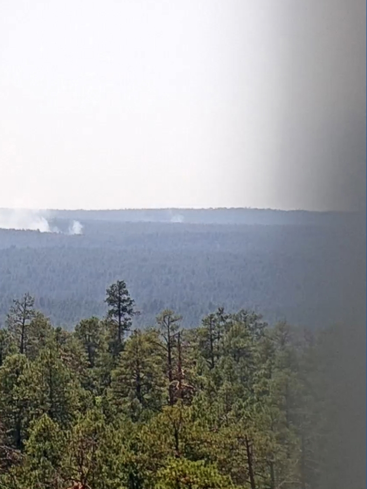 Wildfire burns 30 acres in Coconino National Forest | 12news.com