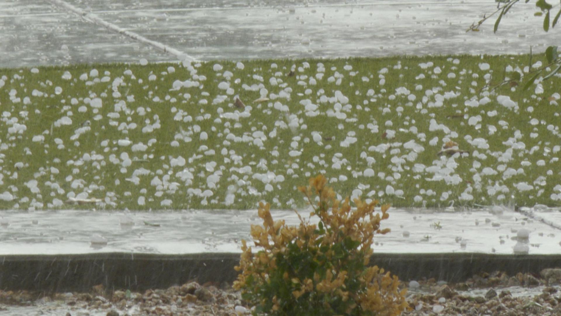 Tram Mai - Anchor | 12news.com