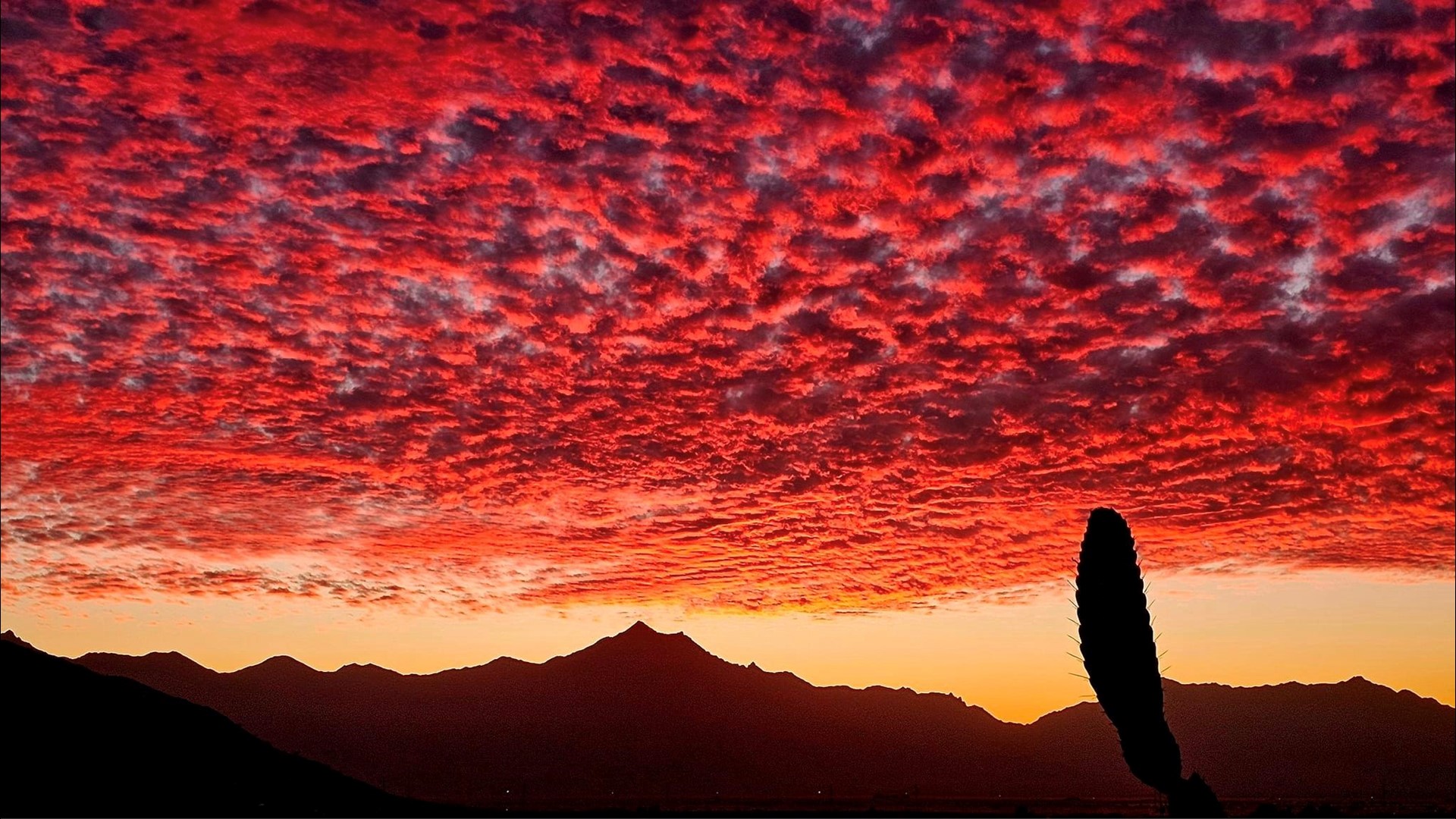 This Arizona sunset is picture perfect | 12news.com