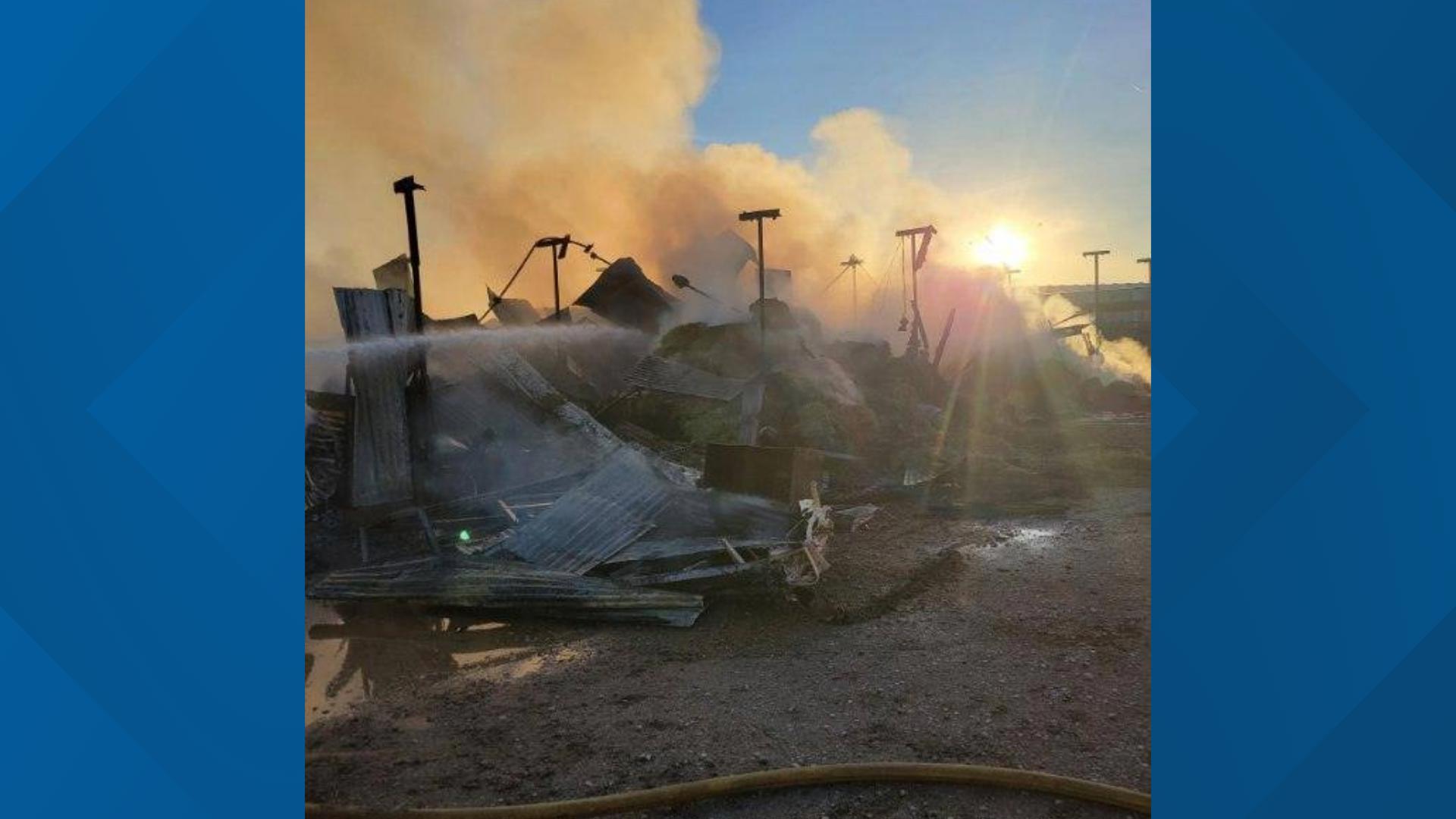 Several animals perish in Pinal County fire, officials say | 12news.com