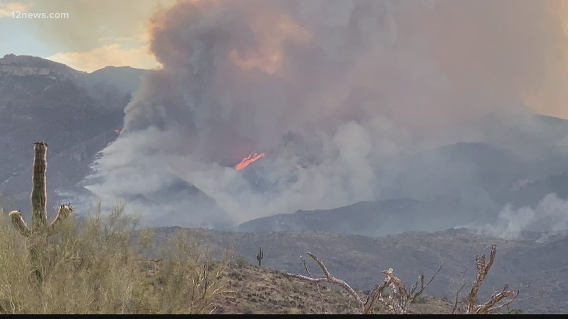 Increase in green plants may spell increased fire danger for Arizona ...