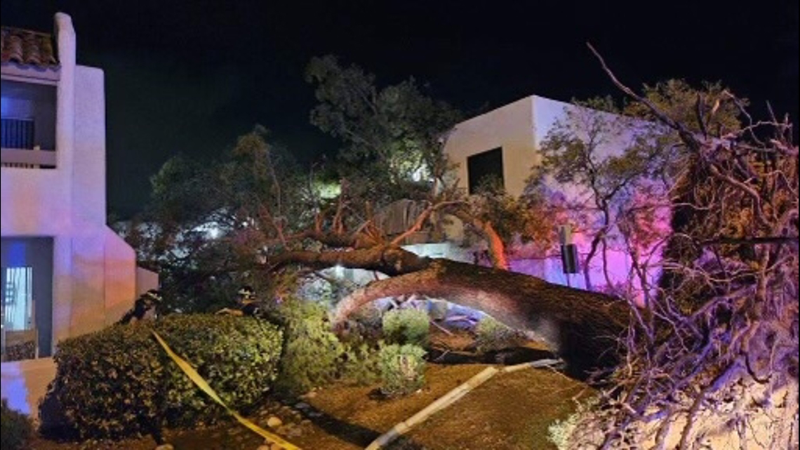 Tree falls on Scottsdale apartment complex during storms | 12news.com