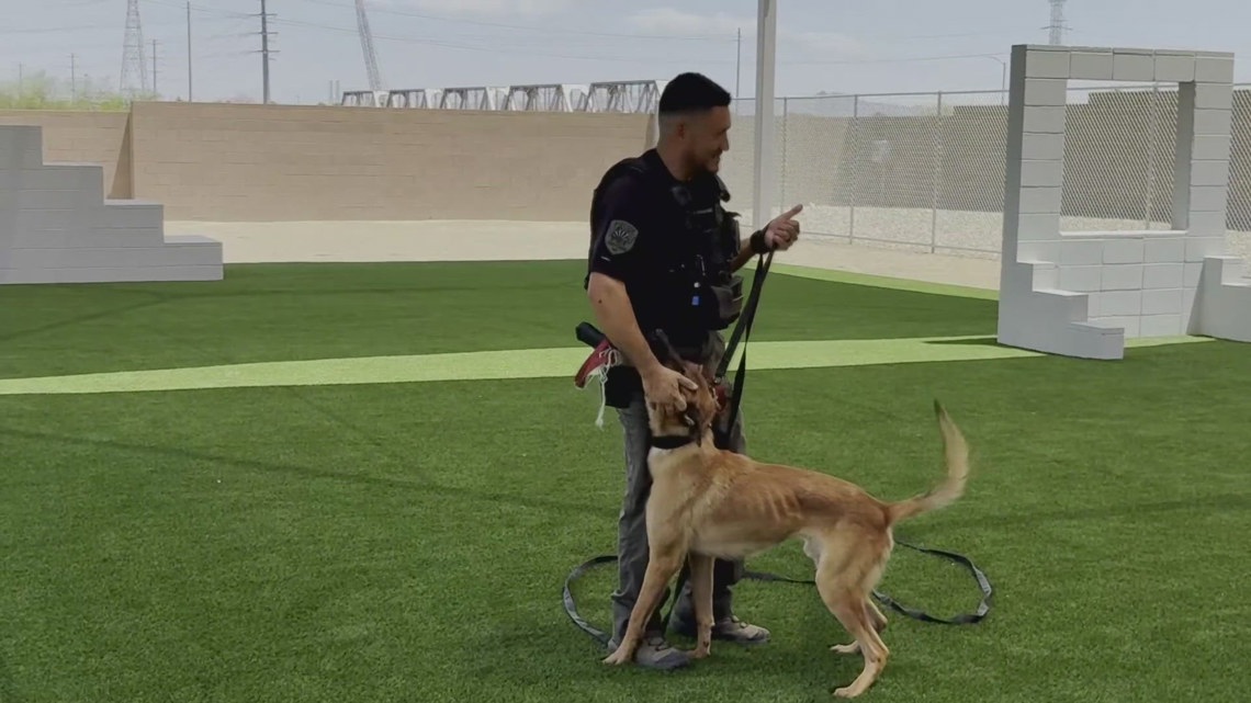 New K9 training facility unveiled at the Avondale Police Department ...