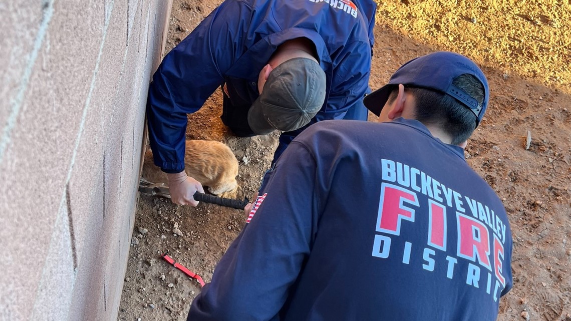 Buckeye dog rescue | 12news.com