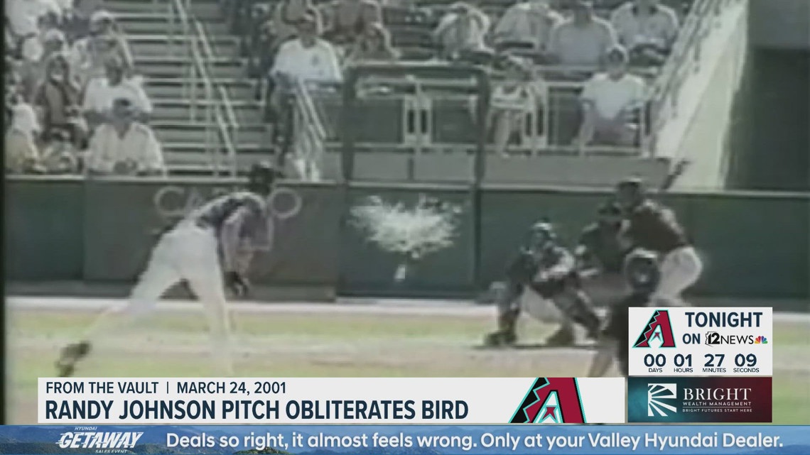 Remember the time Randy Johnson's pitch hit a bird? | 12news.com