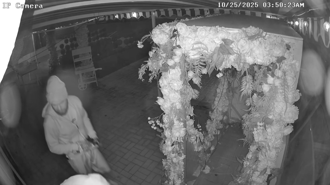 Rediscover AZ: Experience movie magic at Pollack Tempe Cinemas | 12news.com