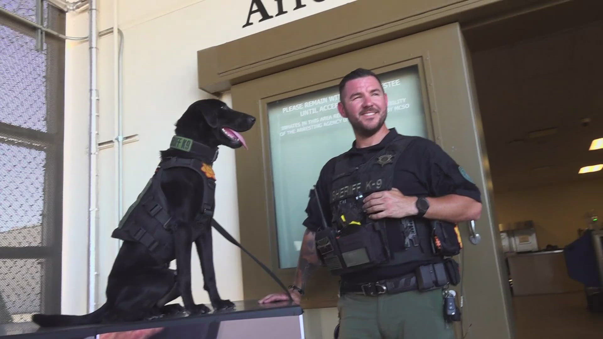 Narcan used to save Arizona K-9 | 12news.com