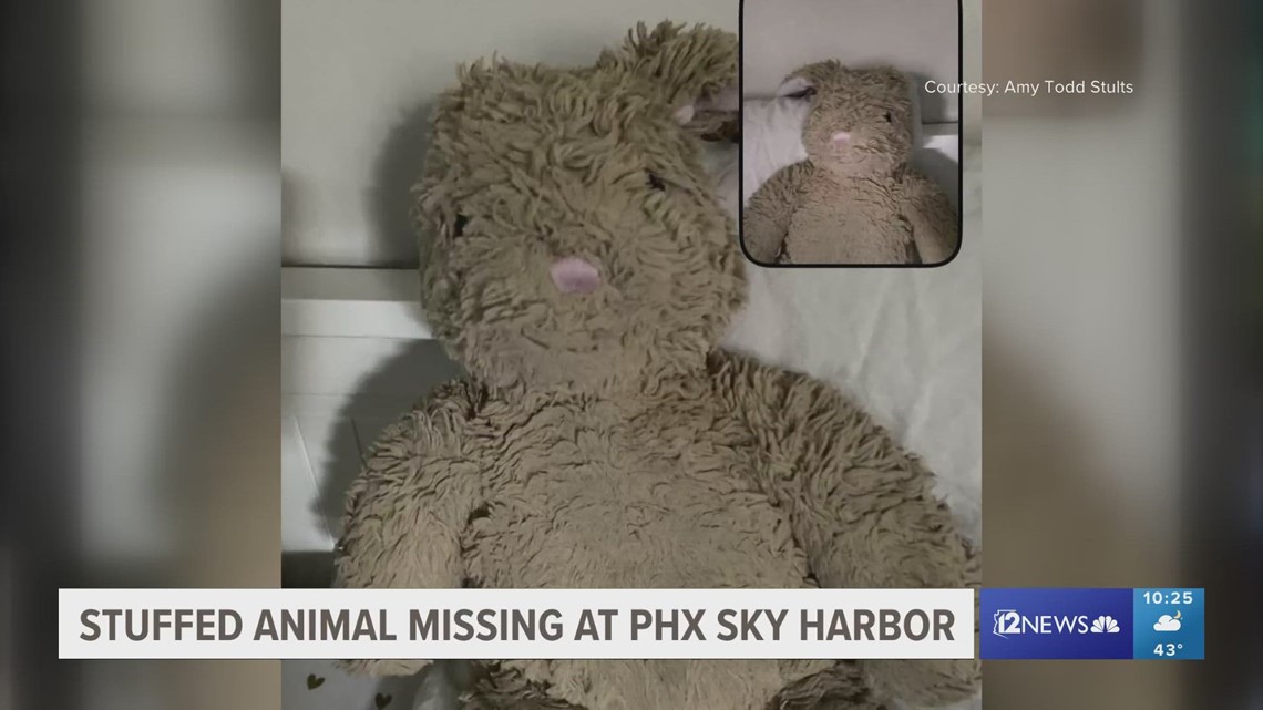 Girl loses beloved stuffed bunny at Phoenix Sky Harbor | 12news.com