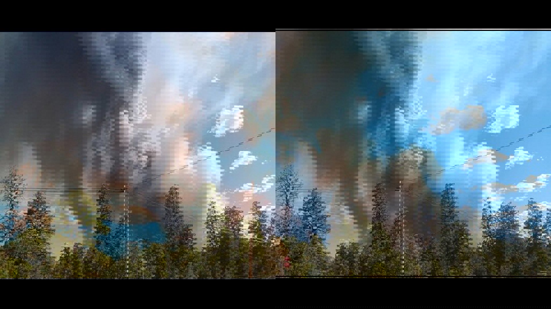 Oak Ridge fire burns 200+ acres near Arizona-New Mexico border | 12news.com