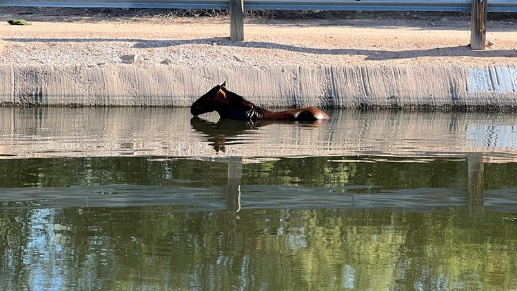 Rachel Cole - Anchor/reporter | 12news.com