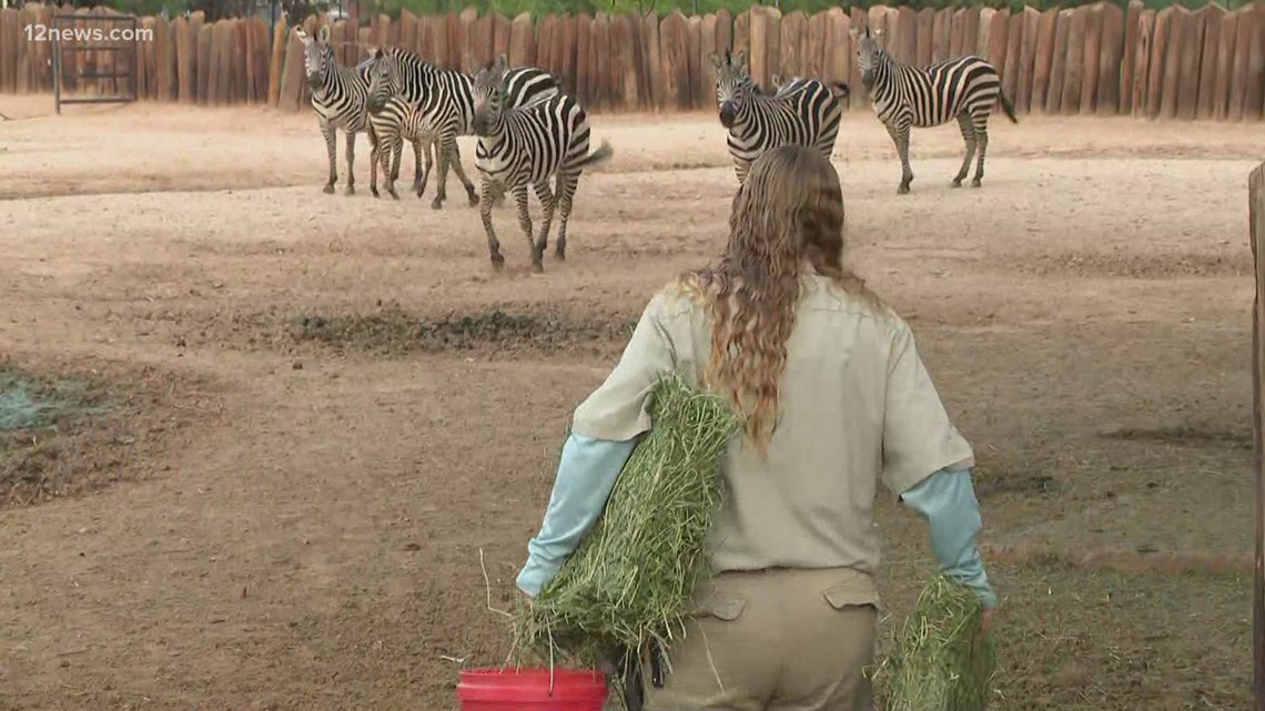 Wildlife World celebrates National Zookeepers Week | 12news.com