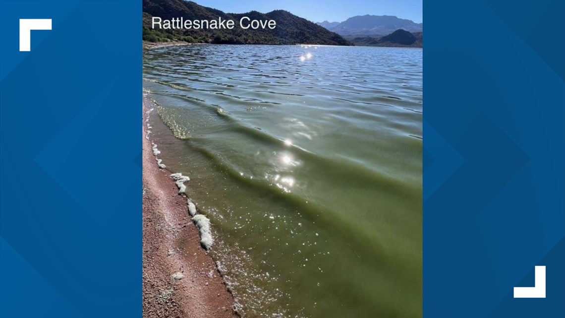 Potentially harmful algae blooms found at Bartlett Lake | 12news.com