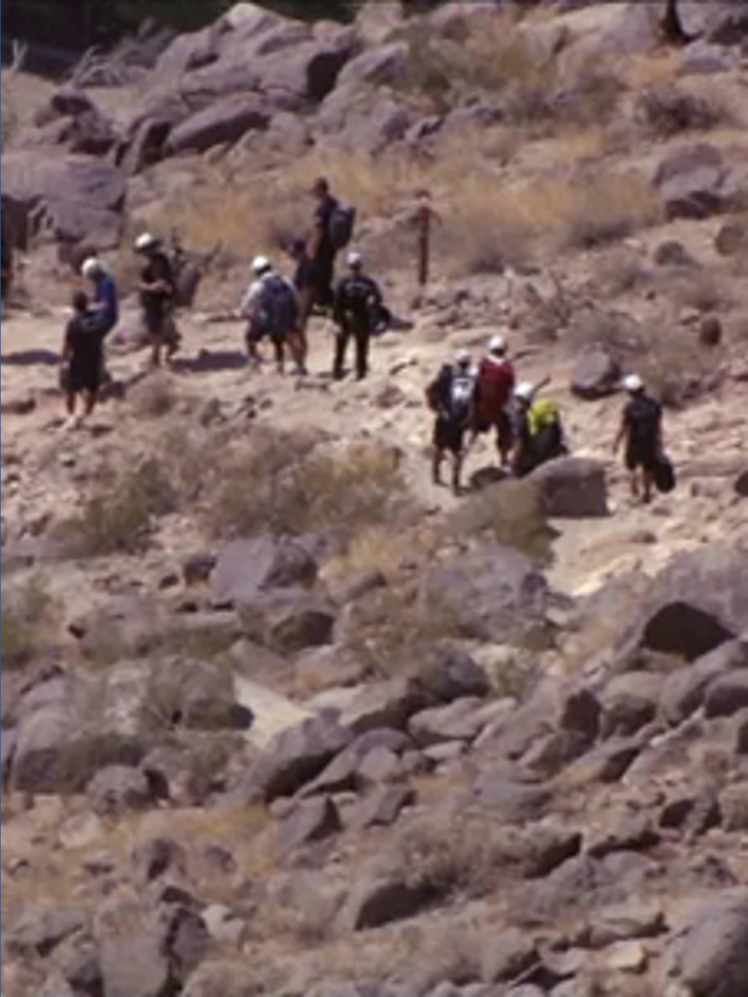 8 hikers treated after bee attack on Camelback Mountain, fire ...
