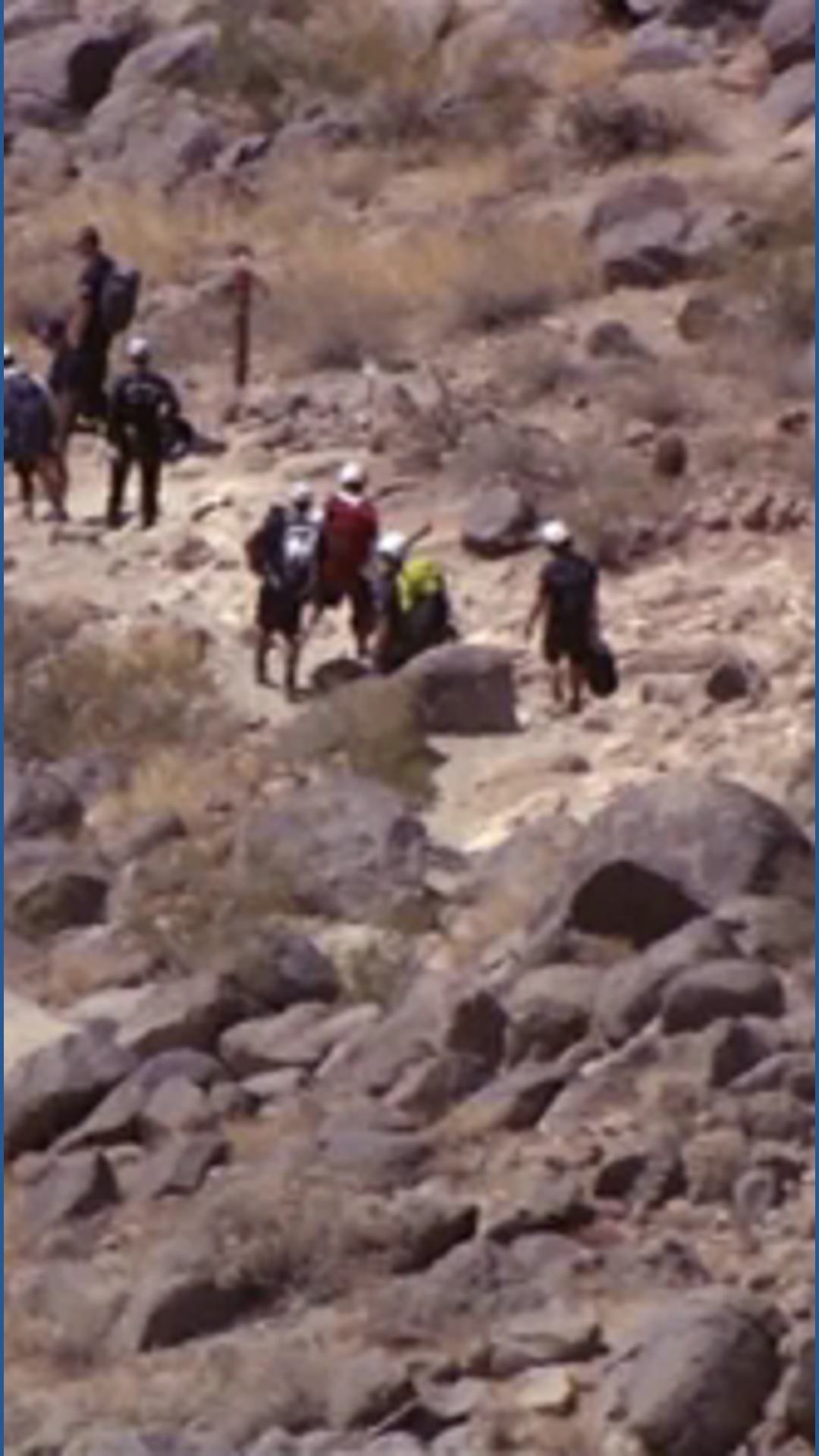 8 hikers treated after bee attack on Camelback Mountain, fire ...