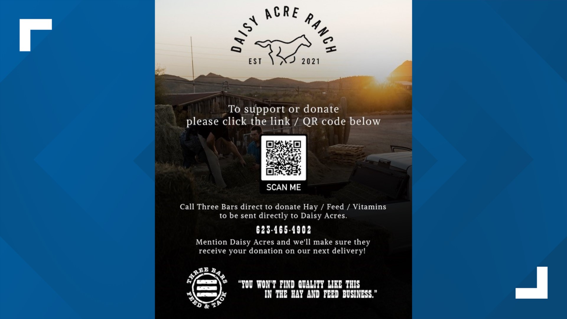 Daisy Acre Ranch is a second chance for donkeys and other animals ...