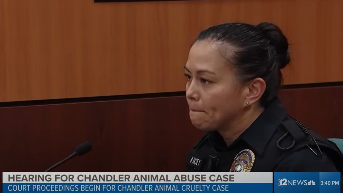 Chandler officer promoted after helping to rescue 55 dogs | 12news.com