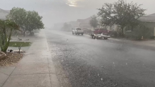 How much rain did Phoenix get last night? | 12news.com