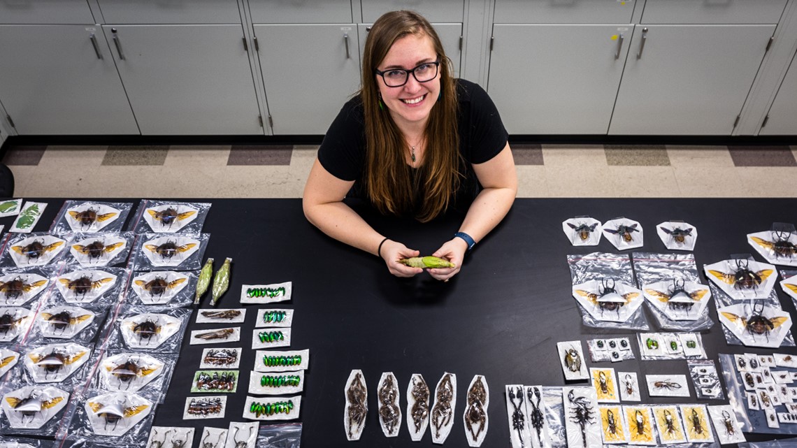 ASU professor cracks open the world of illegal bug smuggling | 12news.com