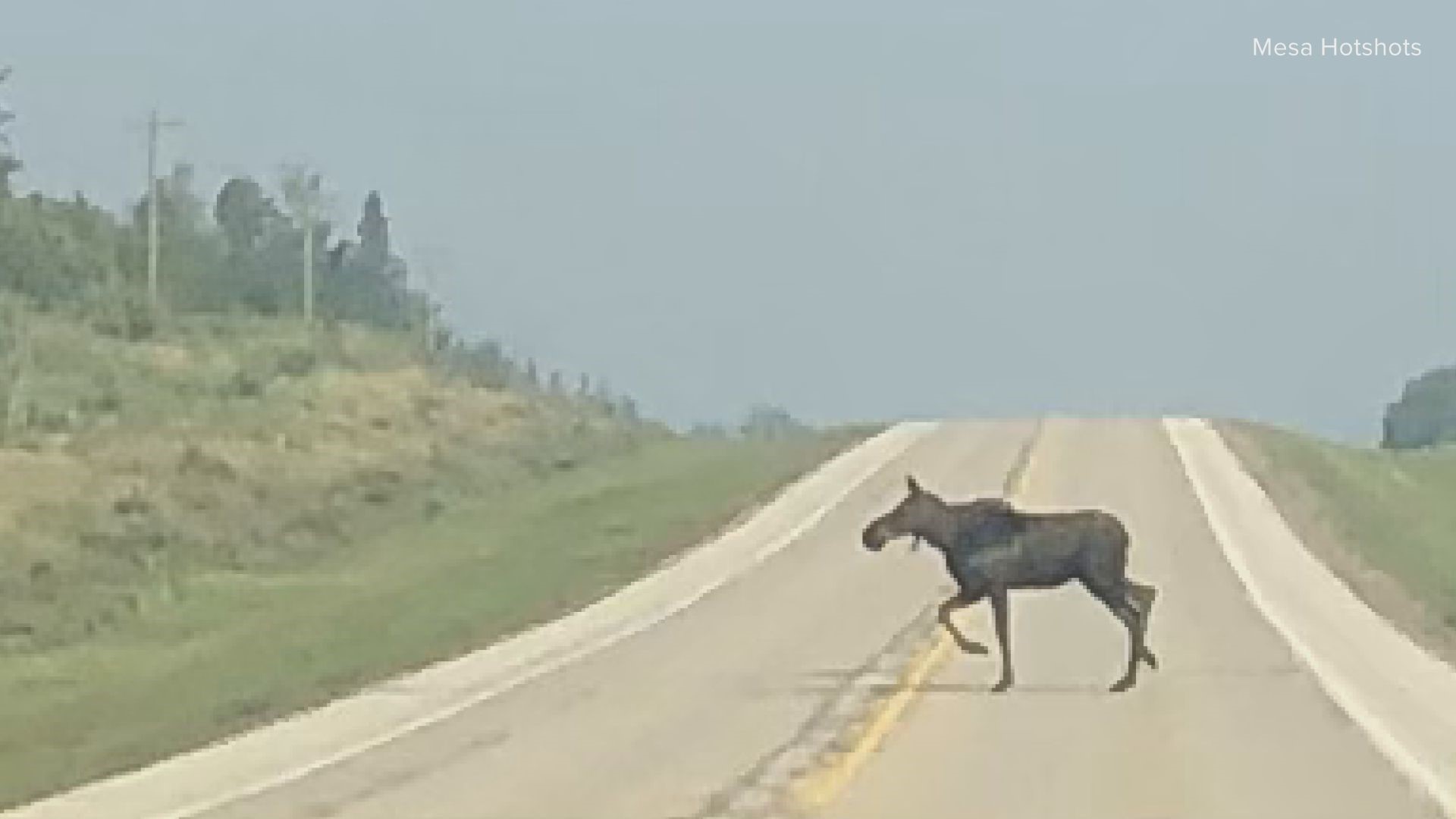 Mesa fire crews assisting with unprecedented Canada wildfires | 12news.com