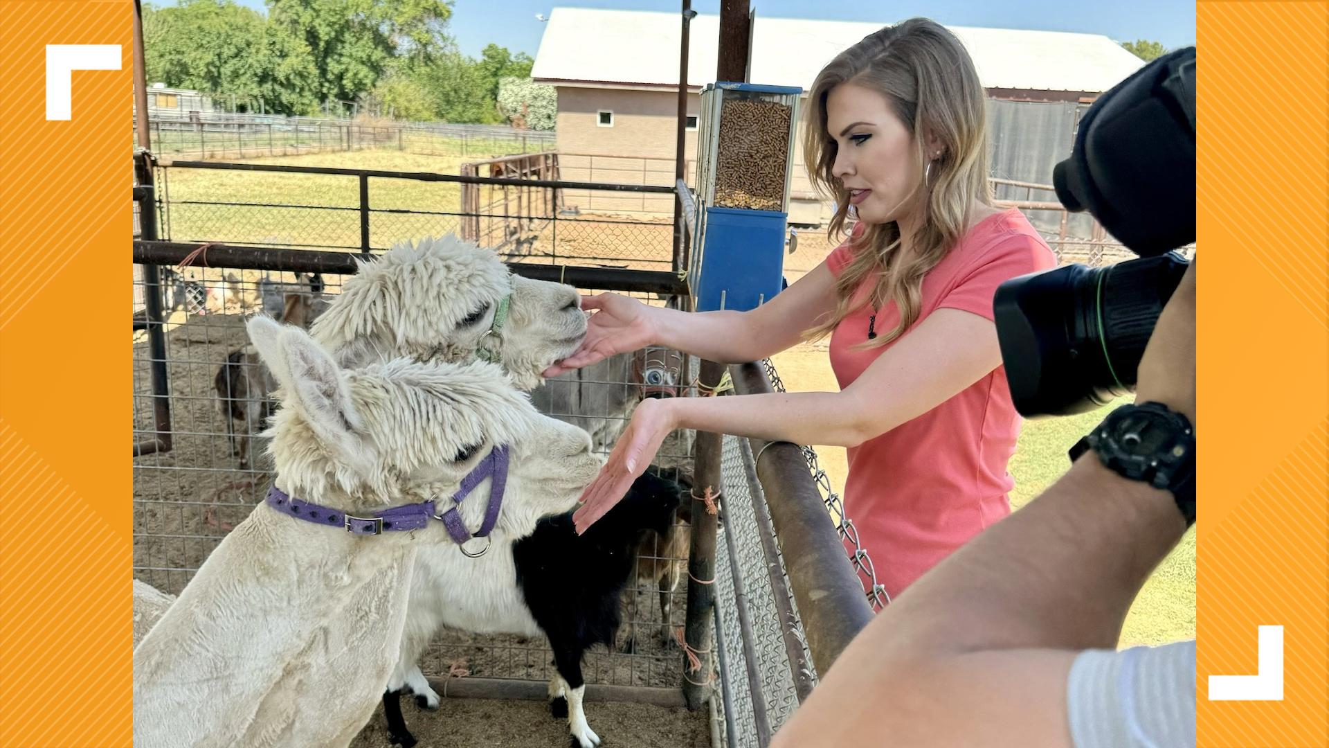 Amadio Ranch in Laveen | Rediscover Arizona | 12news.com