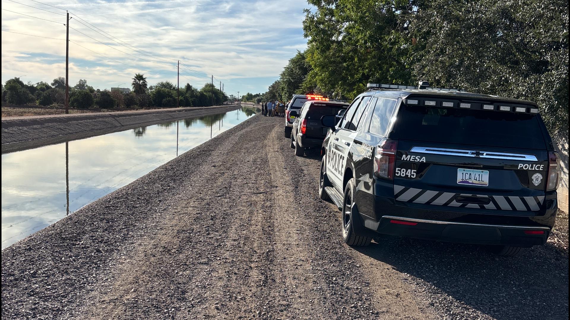 2 people walk out of plane crash safely near Mesa's Falcon Field ...