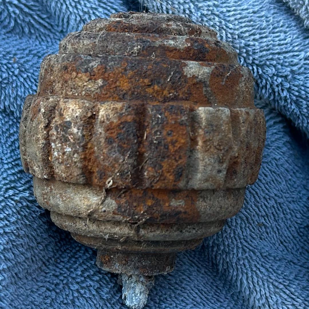 Allison Rodriguez - Anchor | 12news.com