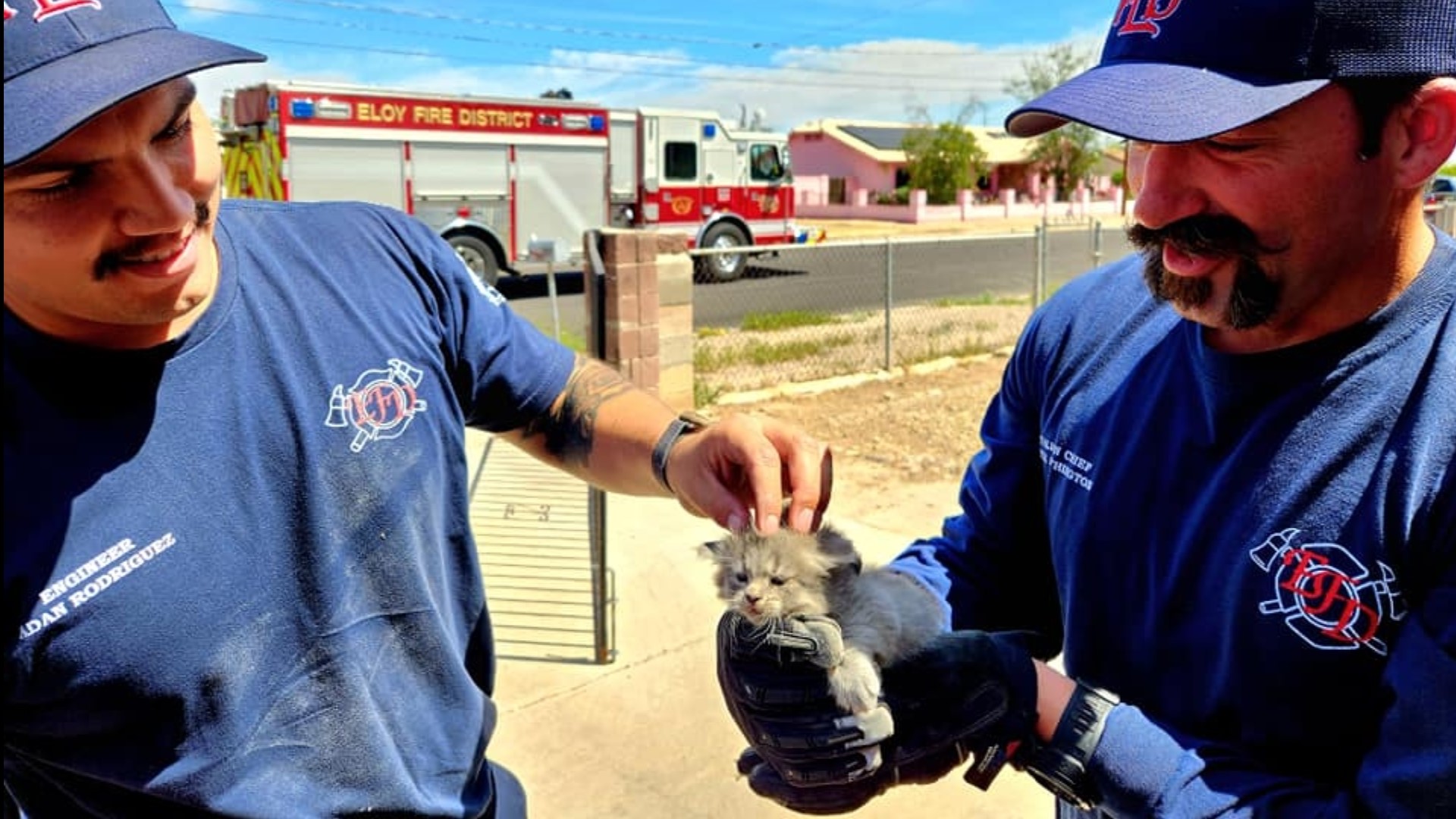 Arizona firefighters save kitten stuck in a car engine | 12news.com