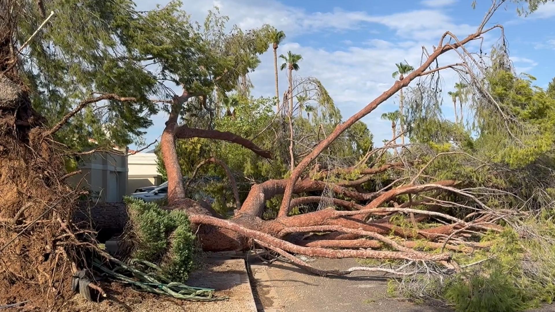 Monsoon storms rip through Scottsdale, residents left shocked | 12news.com
