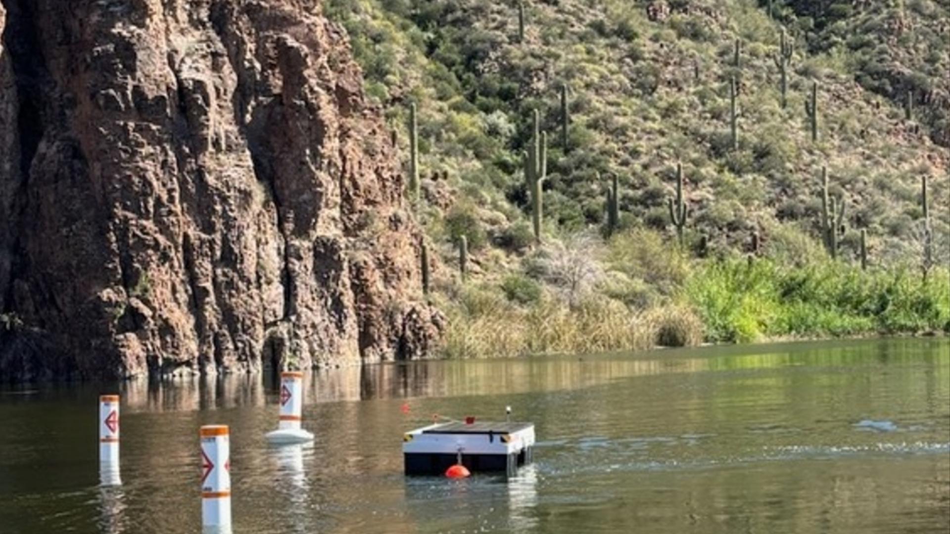 Hazard buoys seen at this Arizona lake are trying to protect fish from ...
