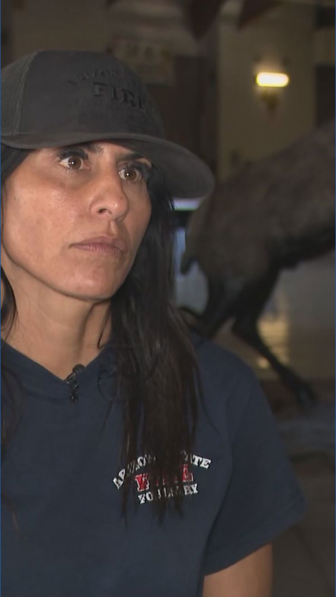Greer Fire: May 14 morning update on Arizona wildfire | 12news.com