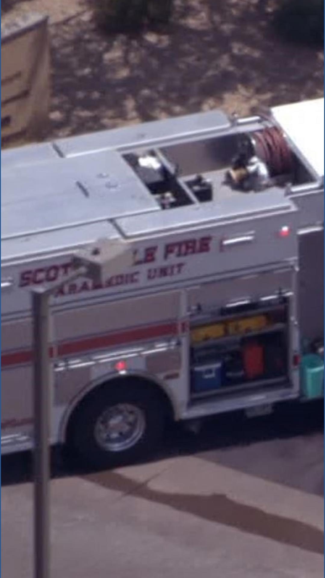 Bee swarm leaves 1 dead, 2 hospitalized in Scottsdale | 12news.com
