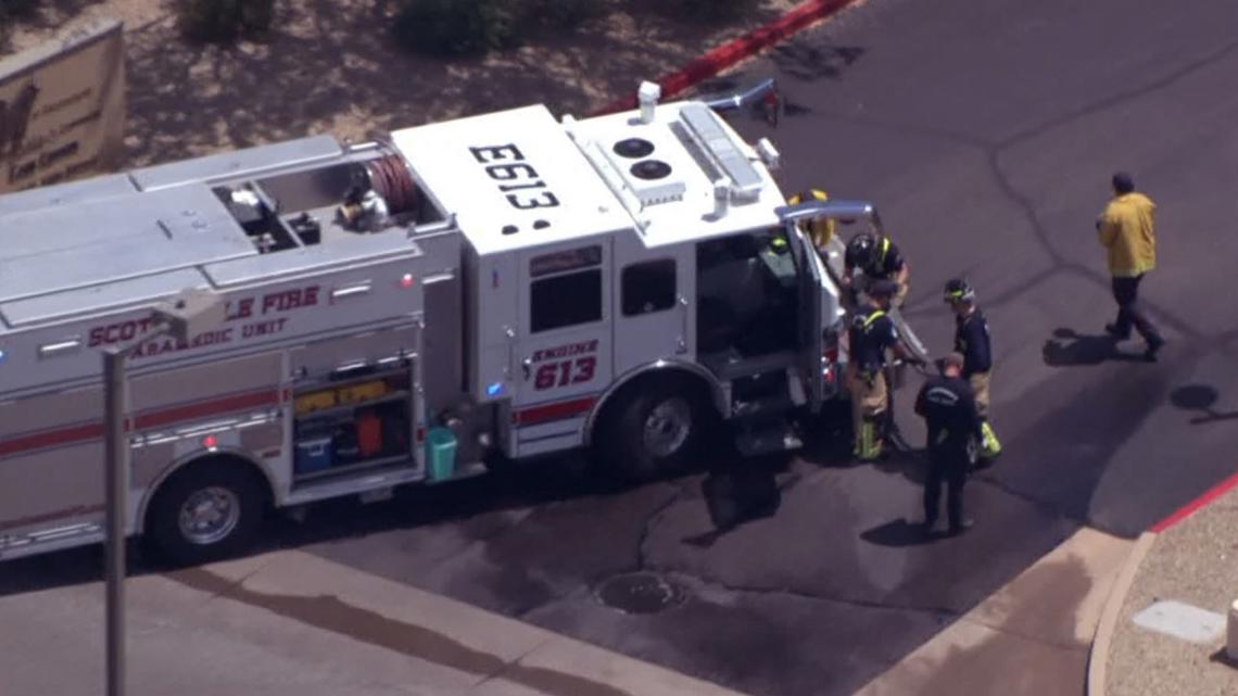 Bee swarm leaves 1 dead, 2 hospitalized in Scottsdale | 12news.com