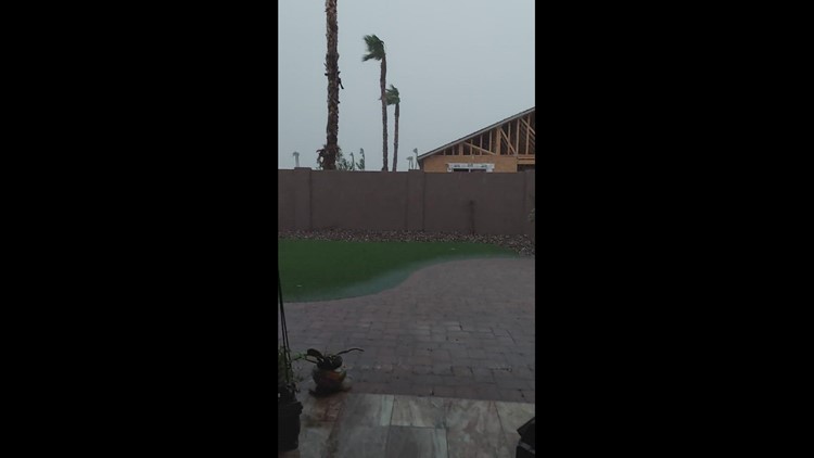 Alice Cooper to be honored with special Arizona license plate | 12news.com