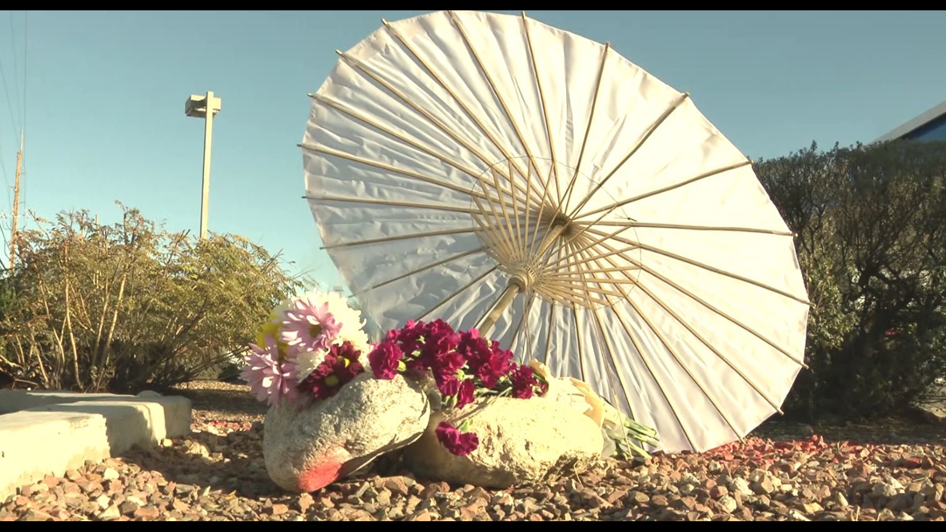 Driver who fatally hit Tucson's 'Umbrella Lady' loses license | 12news.com