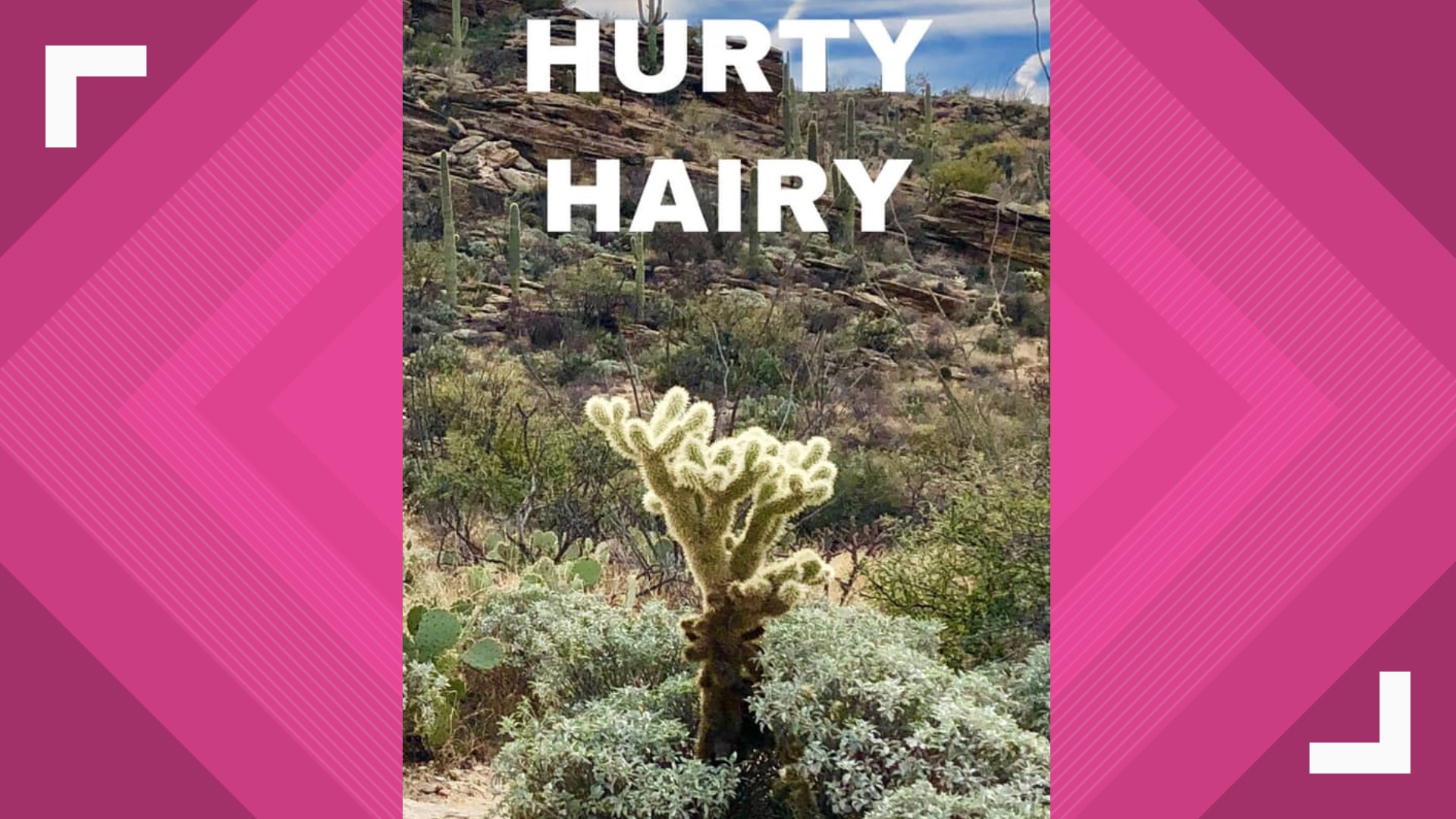 'Ouch-otillo': Phoenix couple creates guide to pokey things found on ...