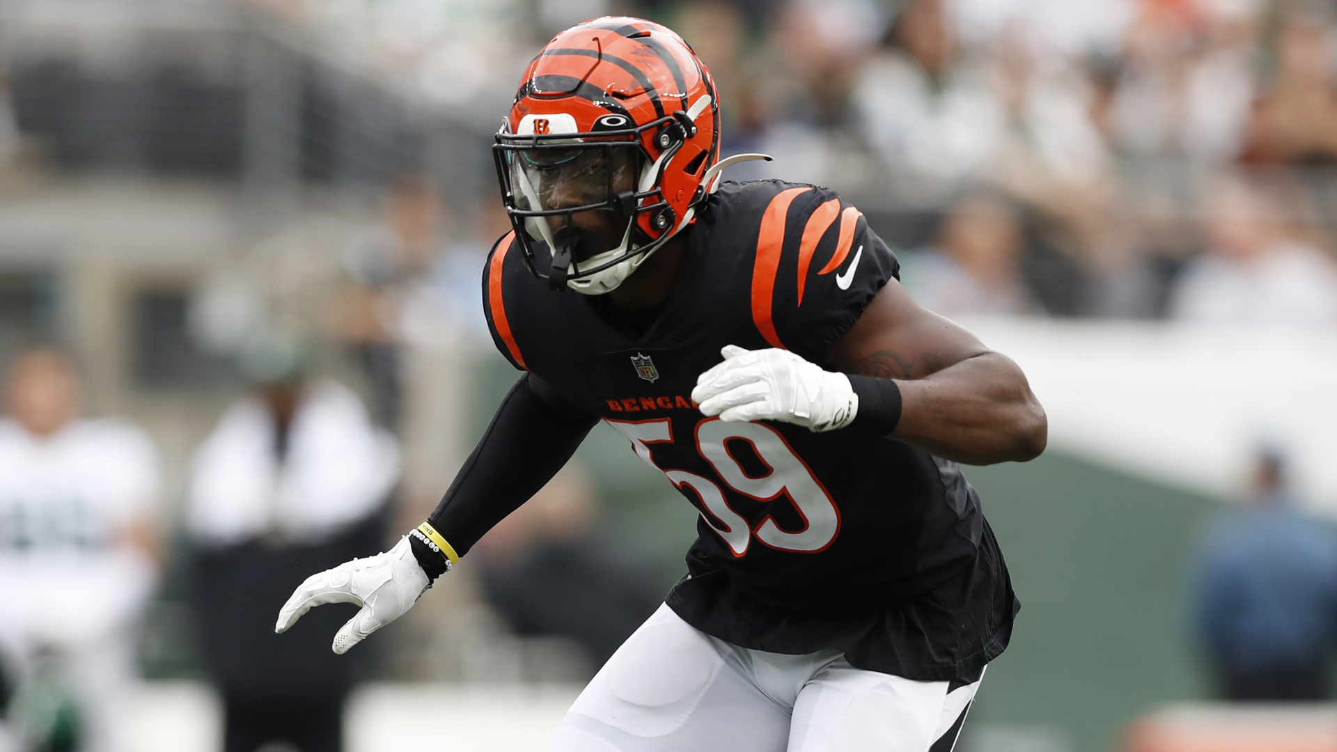 Cardinals sign Akeem Davis-Gaither to boost defense | 12news.com