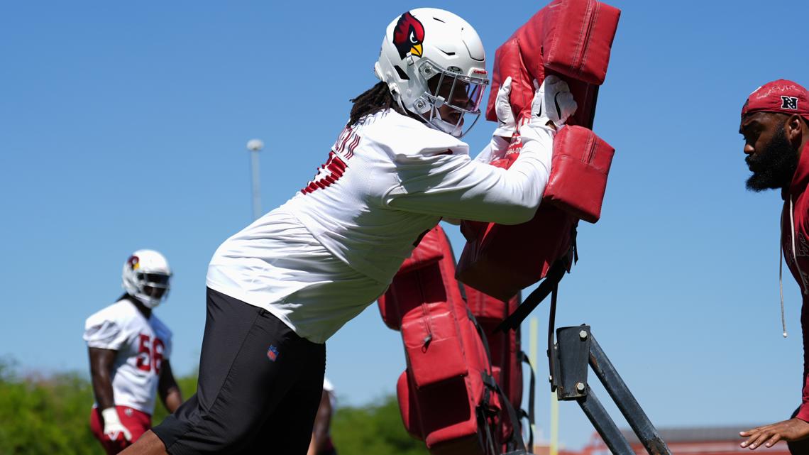 Cardinals' Walter Nolen III to miss time with calf injury | 12news.com