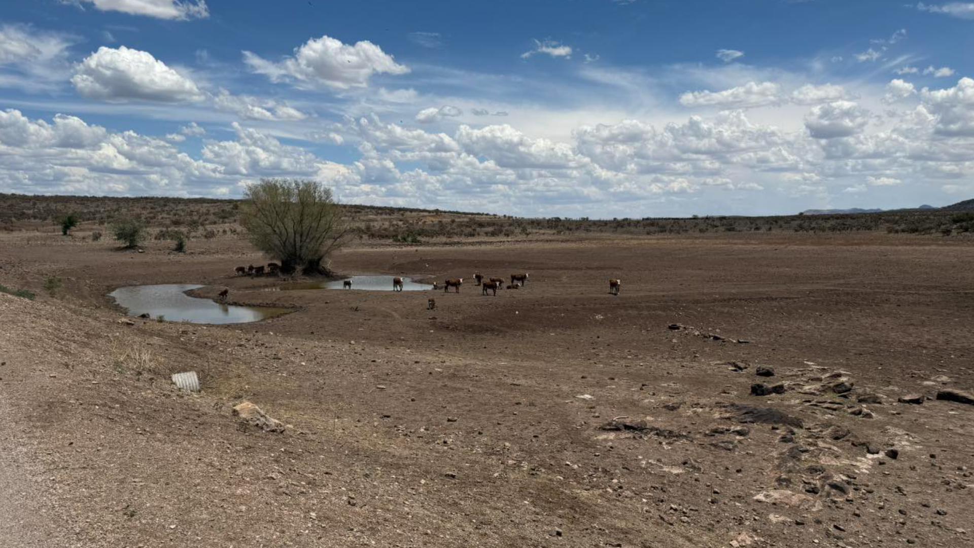 San Carlos Apache Tribe declares emergency amid drought | 12news.com