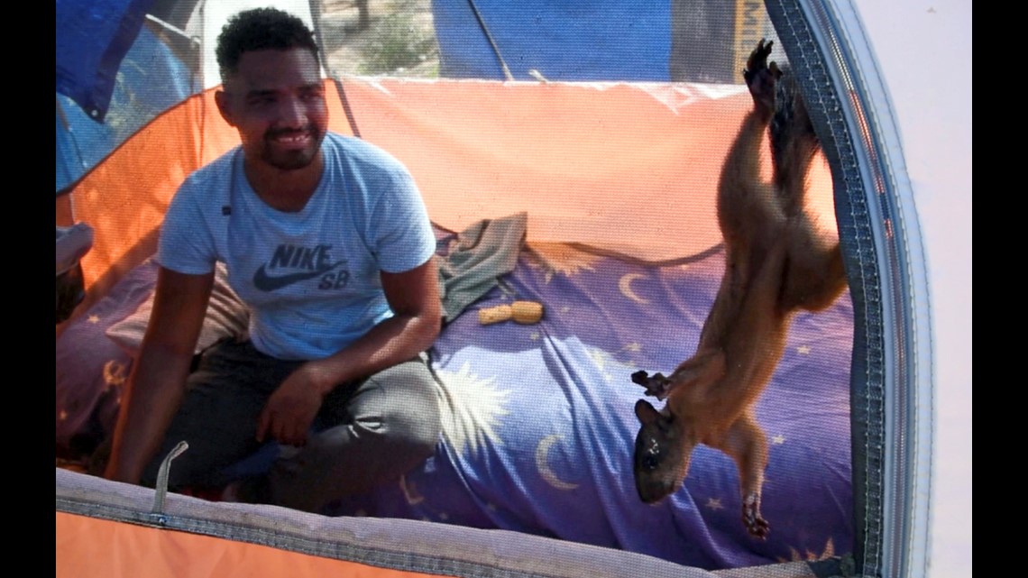 Venezuelan man and pet squirrel prepare to part ways | 12news.com