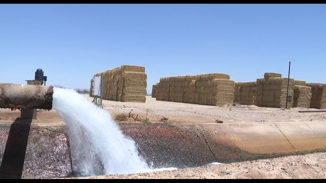 Arizona agency takes action to regulate groundwater use in Willcox ...