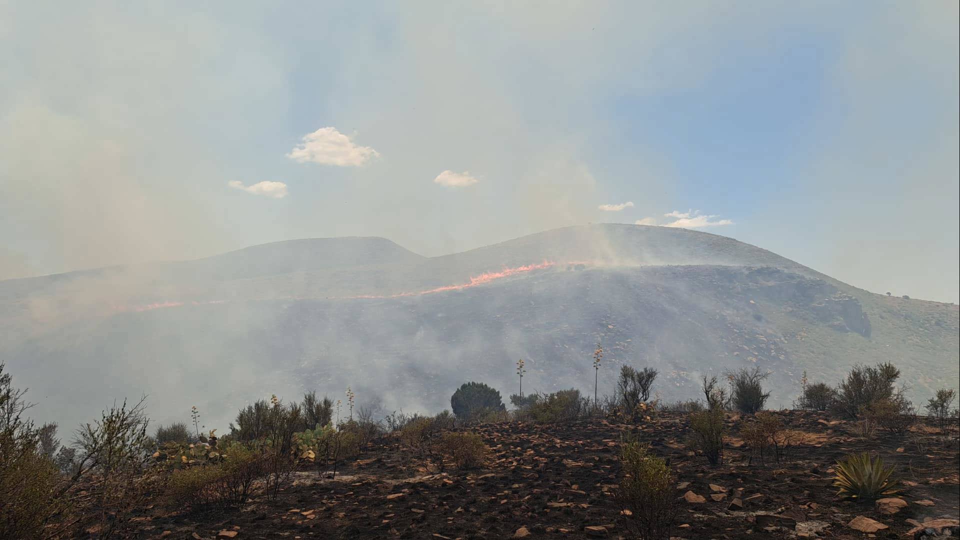 Black Fire burning in Tonto National Forest | 12news.com