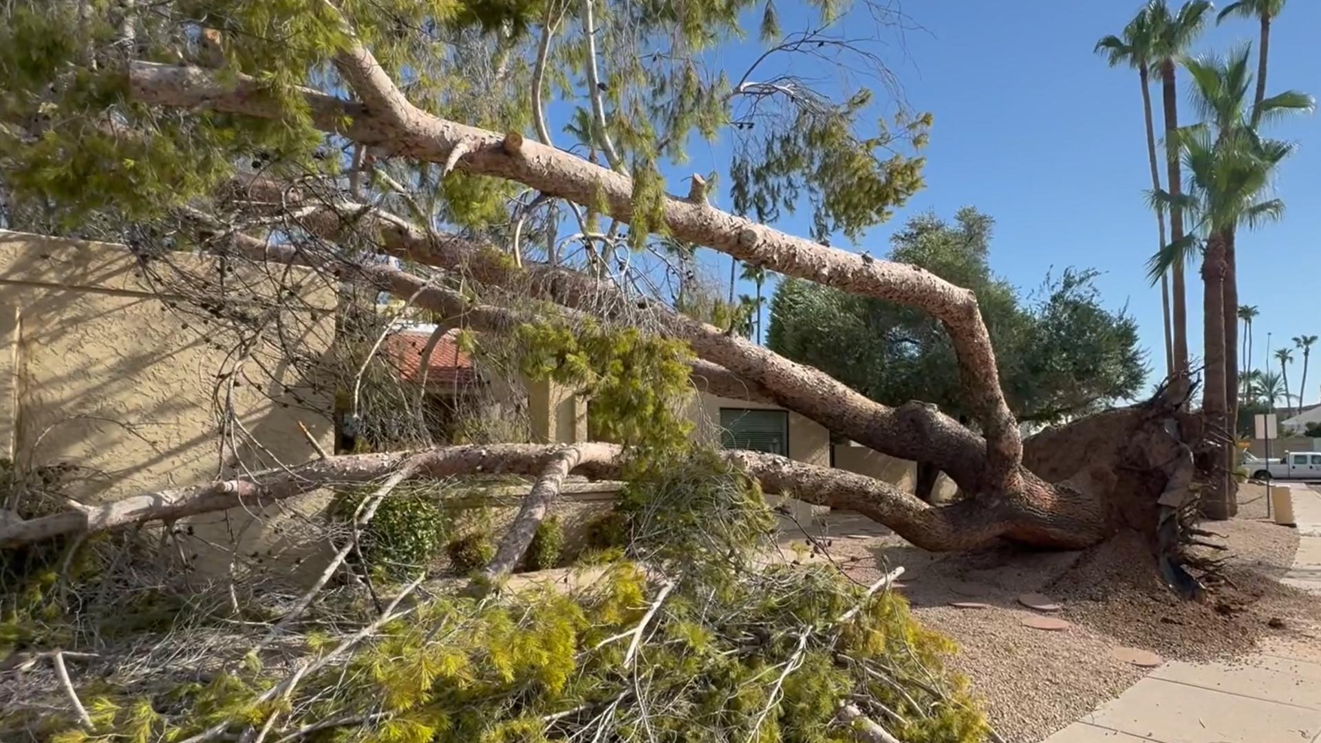 Monsoon storms rip through Scottsdale, residents left shocked | 12news.com