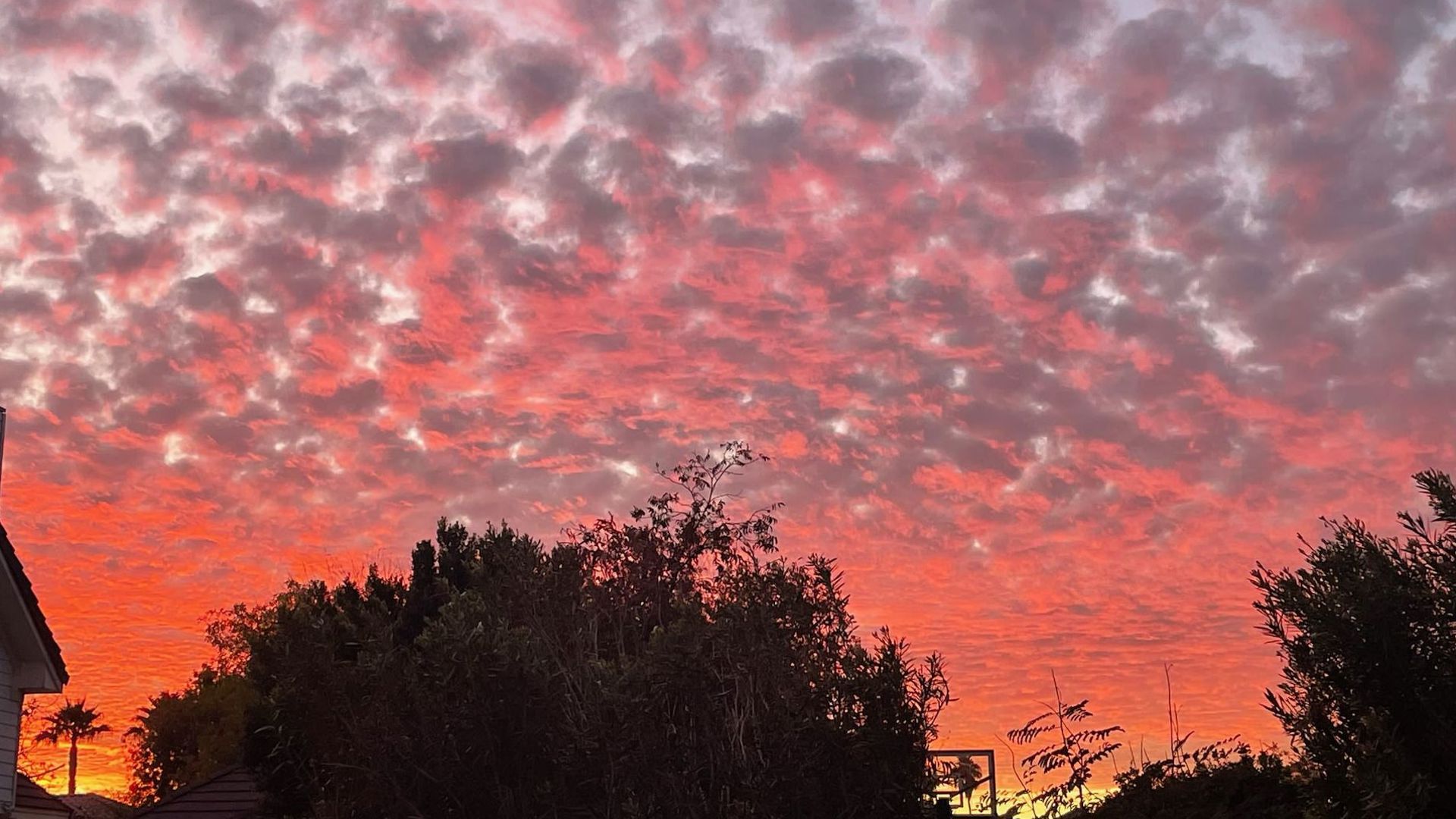 This Arizona sunset is picture perfect | 12news.com