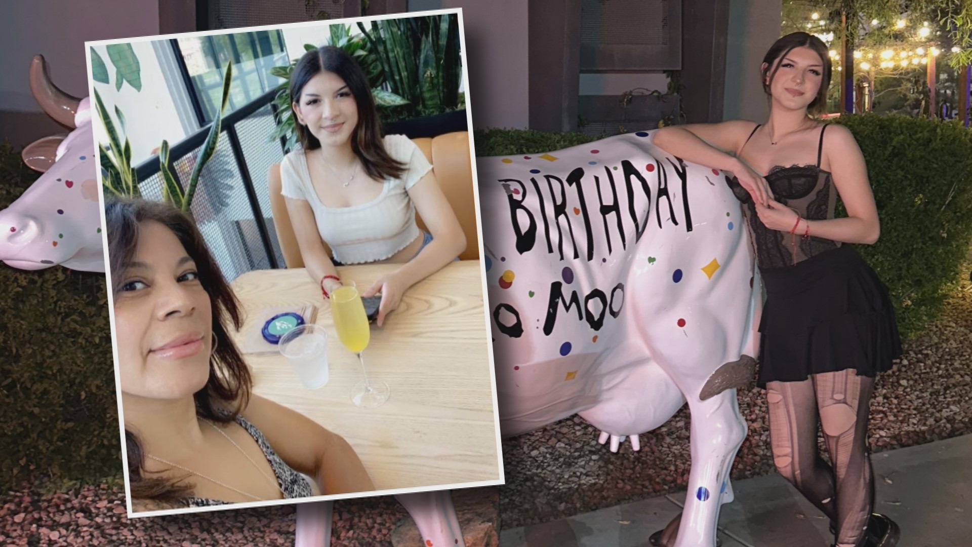 Family of teen killed in road rage shooting looking for justice | 12news.com