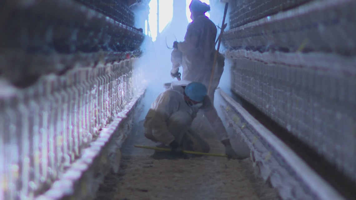 Arizona chicken company may be eligible for $100 million federal payout ...