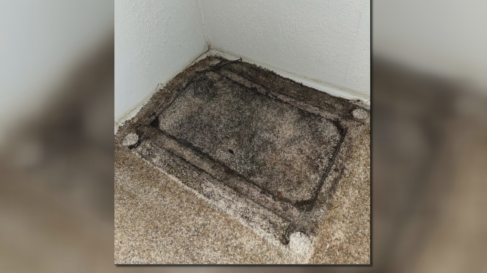 Arizona renter fined for bad review | 12news.com