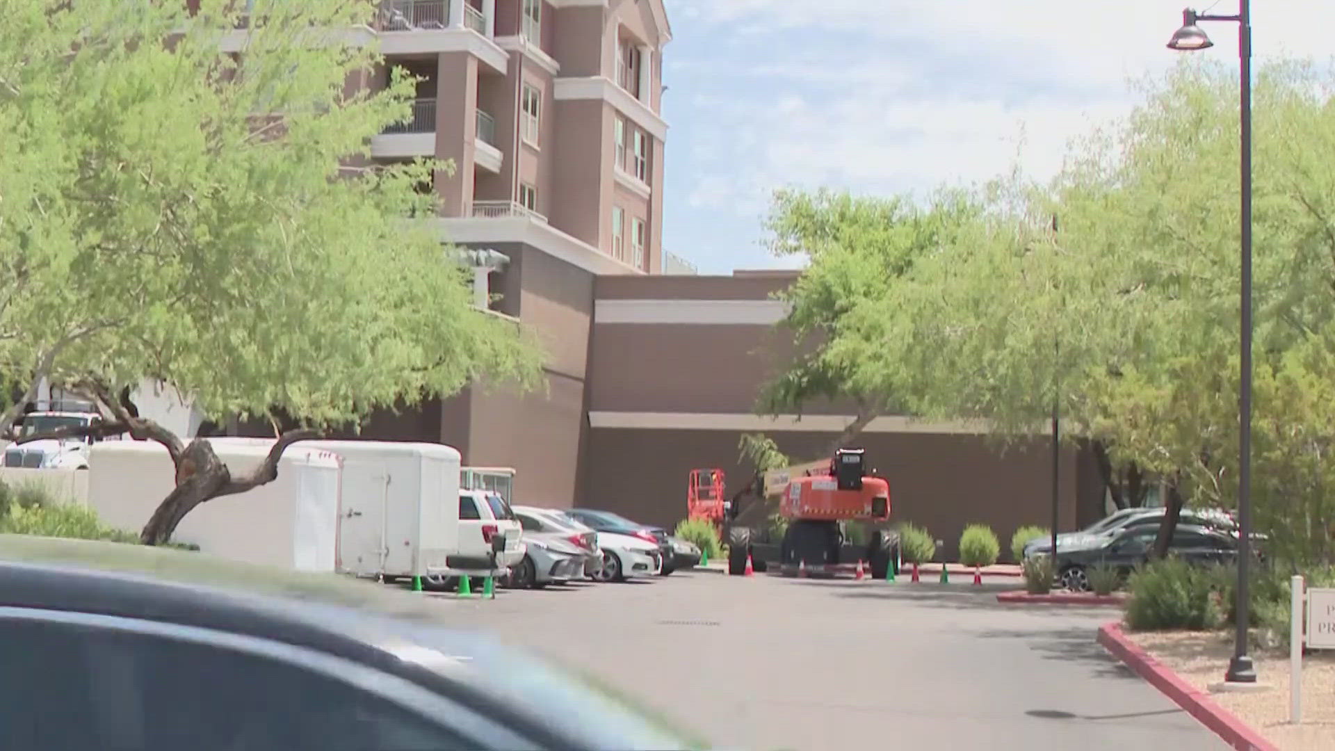 Man who died after being attacked by bee swarm in Arizona identified ...