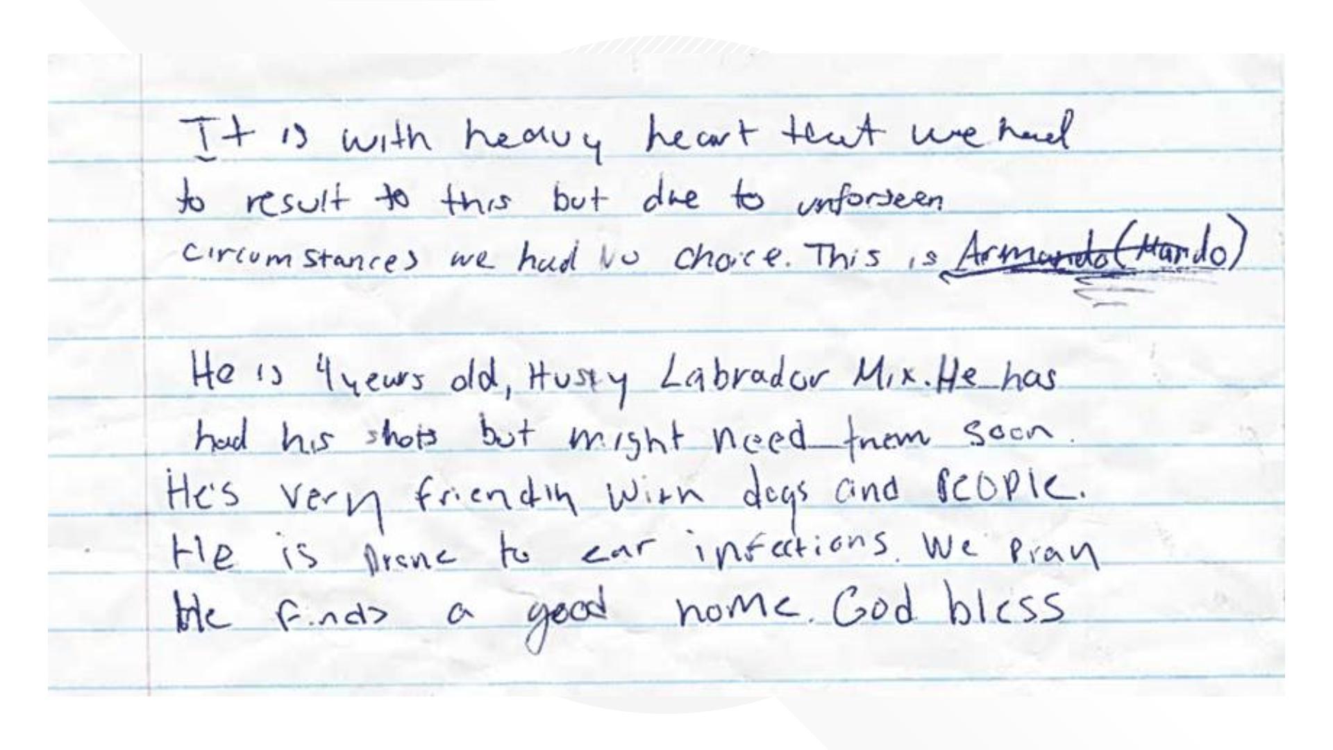 Dog abandoned with heartbreaking note in need of forever home | 12news.com